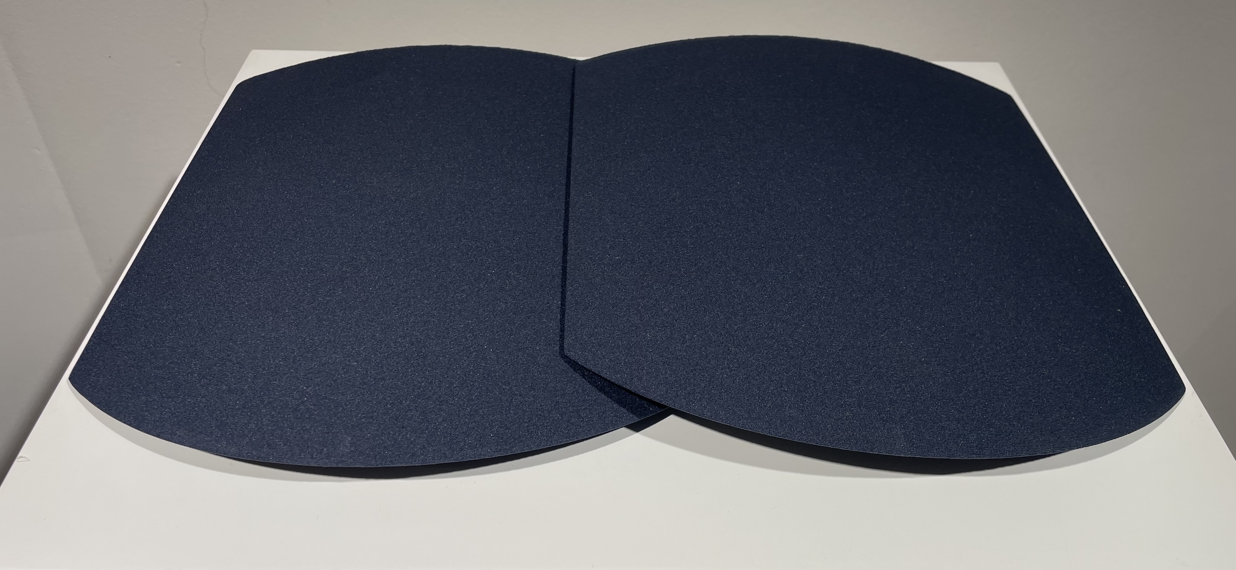 BeoLab 17 cover Blue | Bremdal Radio